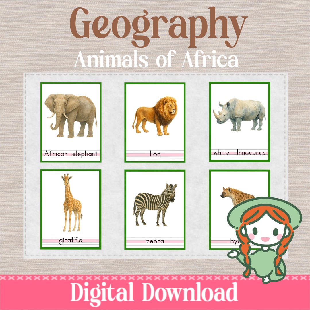 ANIMALS of AFRICA - 3 Part Nomenclature Cards - Montessori Geography - Etsy