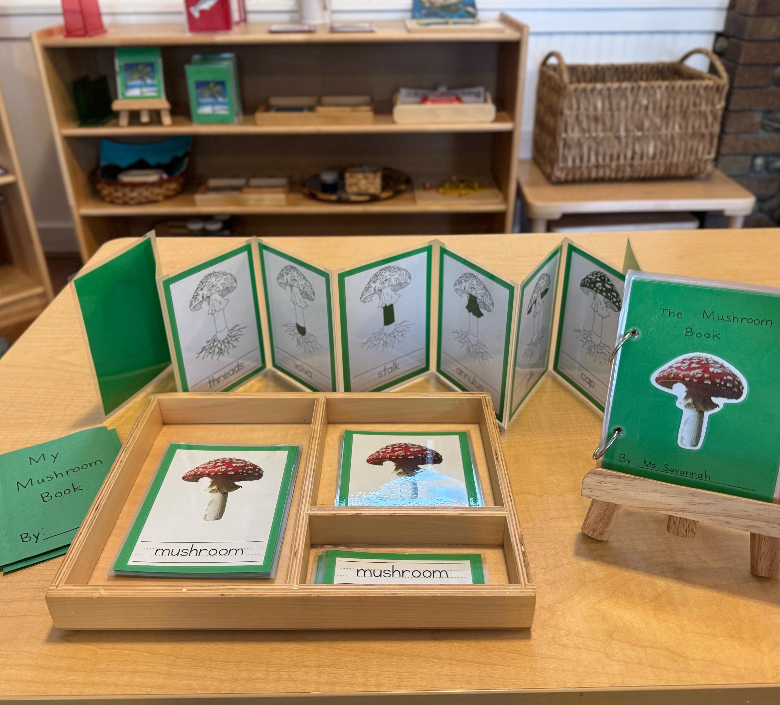 PARTS of the MUSHROOM - 3 Part Nomenclature Cards - Montessori Botany ...