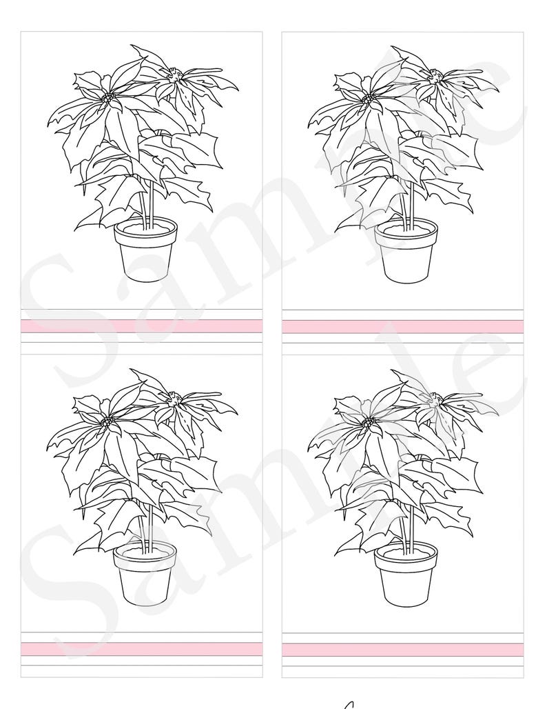 PARTS of the POINSETTIA - 3 Part Nomenclature Cards - Montessori Botany ...