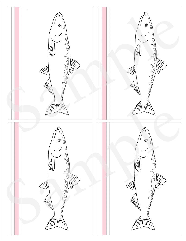 PARTS of the SALMON - 3 Part Nomenclature Cards - Montessori Zoology ...