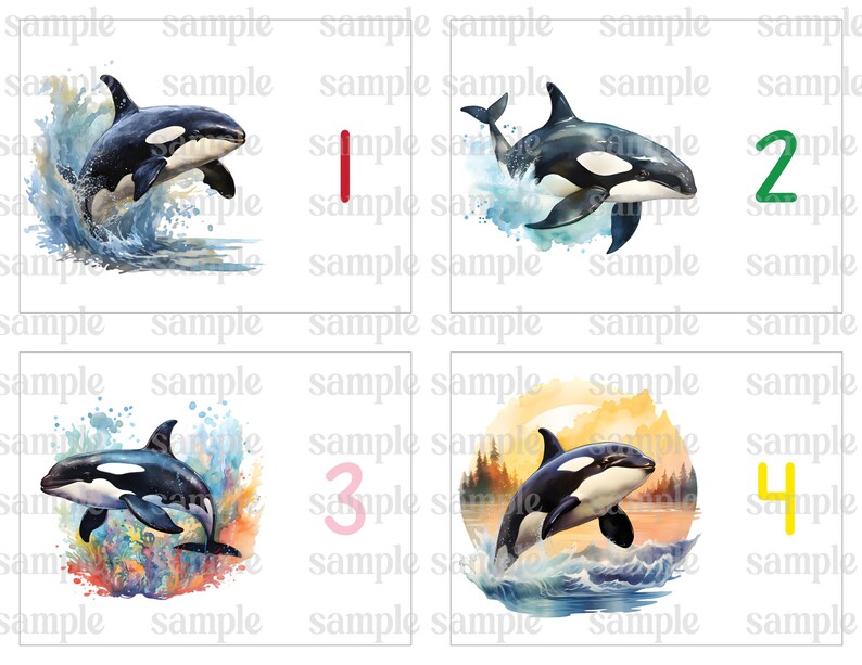 Montessori Orca OCEAN Cards for Counters Math Printable PDF - Etsy