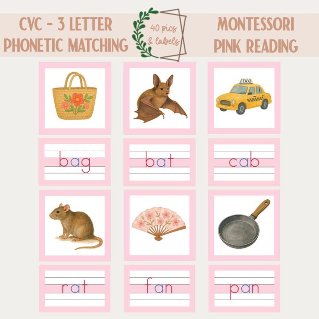 PINK READING CVC Montessori Picture Word Matching Language - Etsy