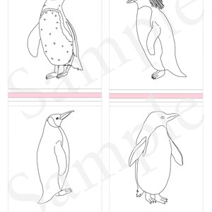 PENGUIN Species/types - 3 Part Nomenclature Cards - Montessori Zoology ...
