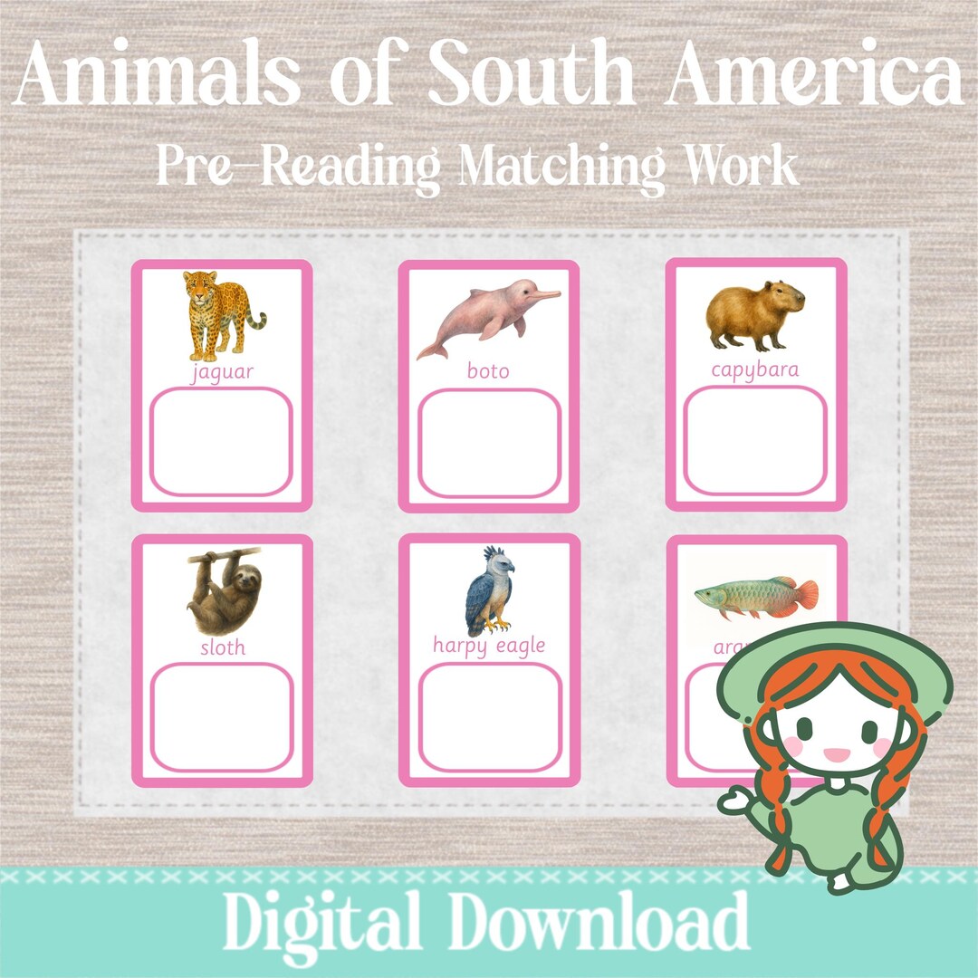 Animals of South America Montessori Pre Reading Language Matching Cards ...