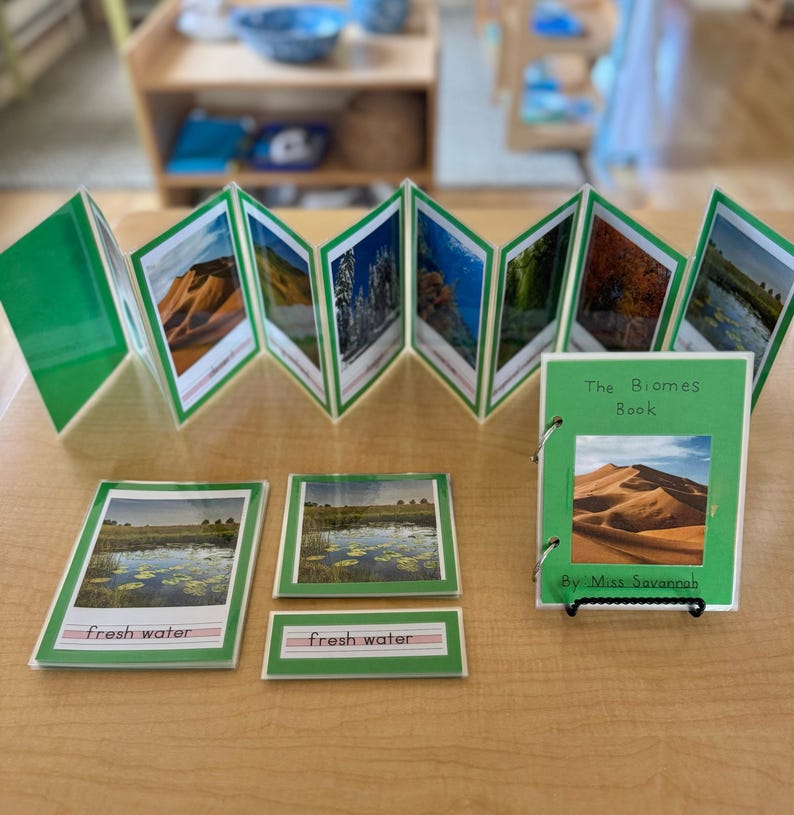 BIOMES - 3 Part Nomenclature Cards - Montessori Botany Science - Etsy