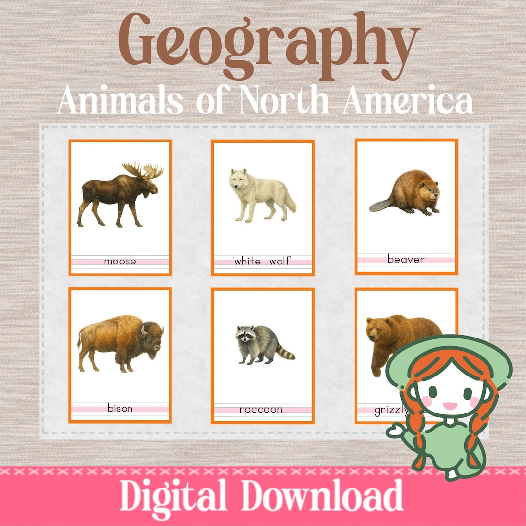 ANIMALS of NORTH AMERICA - 3 Part Nomenclature Cards - Montessori ...