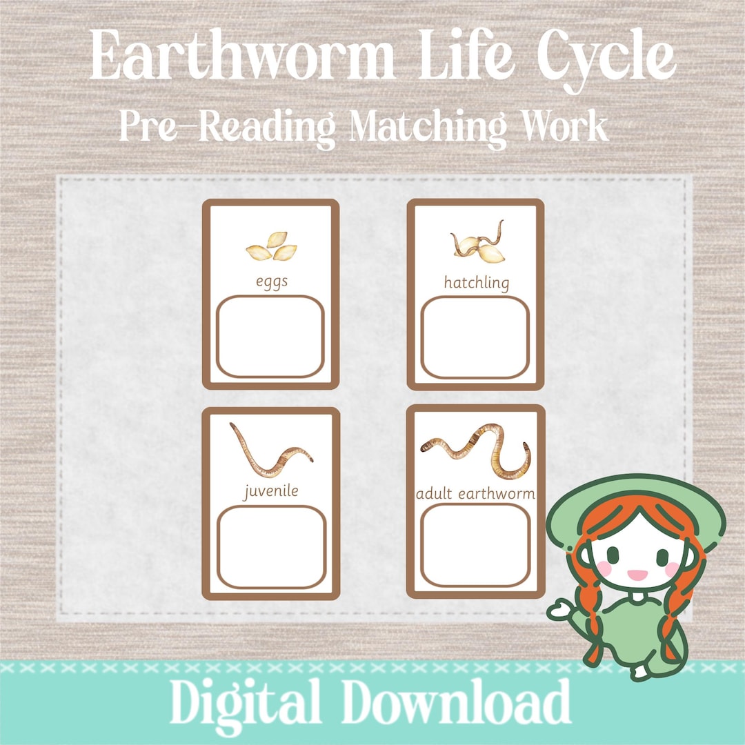 EARTHWORM Life Cycle Montessori Pre Reading Language Matching Cards - Etsy
