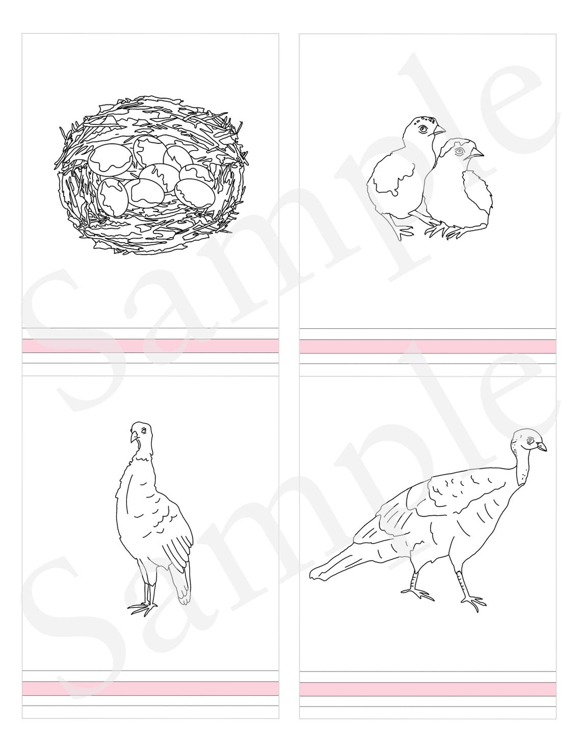 TURKEY Life Cycle - 3 Part Nomenclature Cards - Montessori Zoology ...
