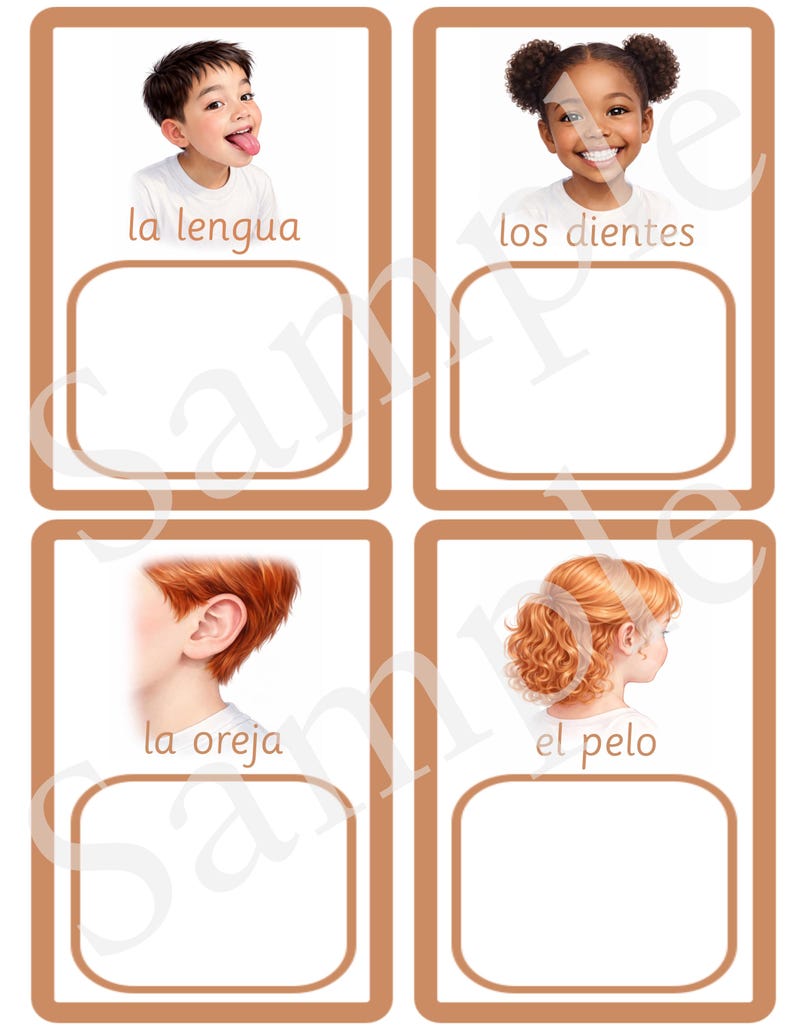 Body Parts - Partes Del Cuerpo - Montessori SPANISH Pre Reading ...