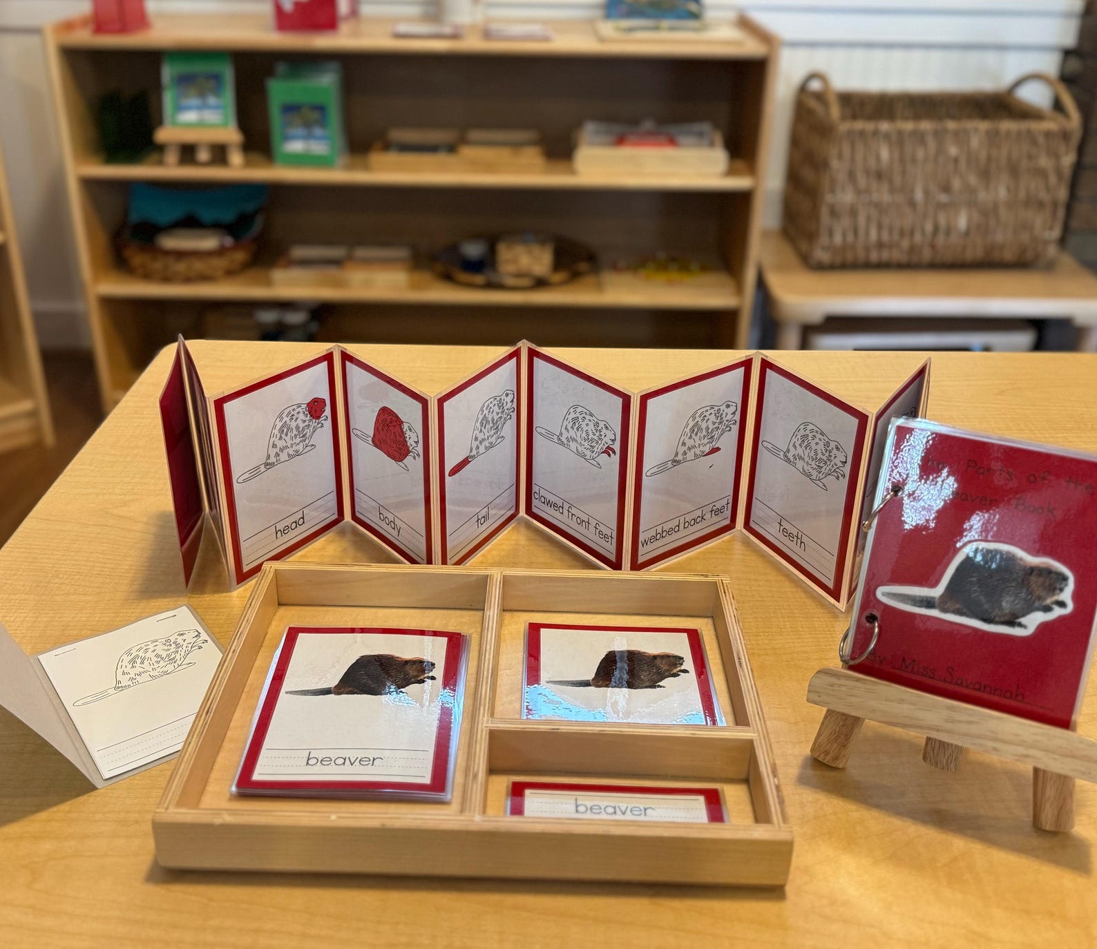 PARTS of the BEAVER - 3 Part Nomenclature Cards - Montessori Zoology ...