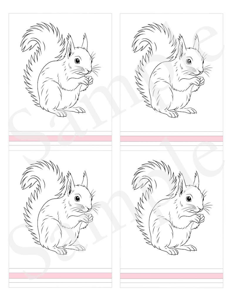 PARTS of the SQUIRREL - 3 Part Nomenclature Cards - Montessori Zoology ...