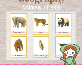 Animals of Asia 3-part Cards - Etsy