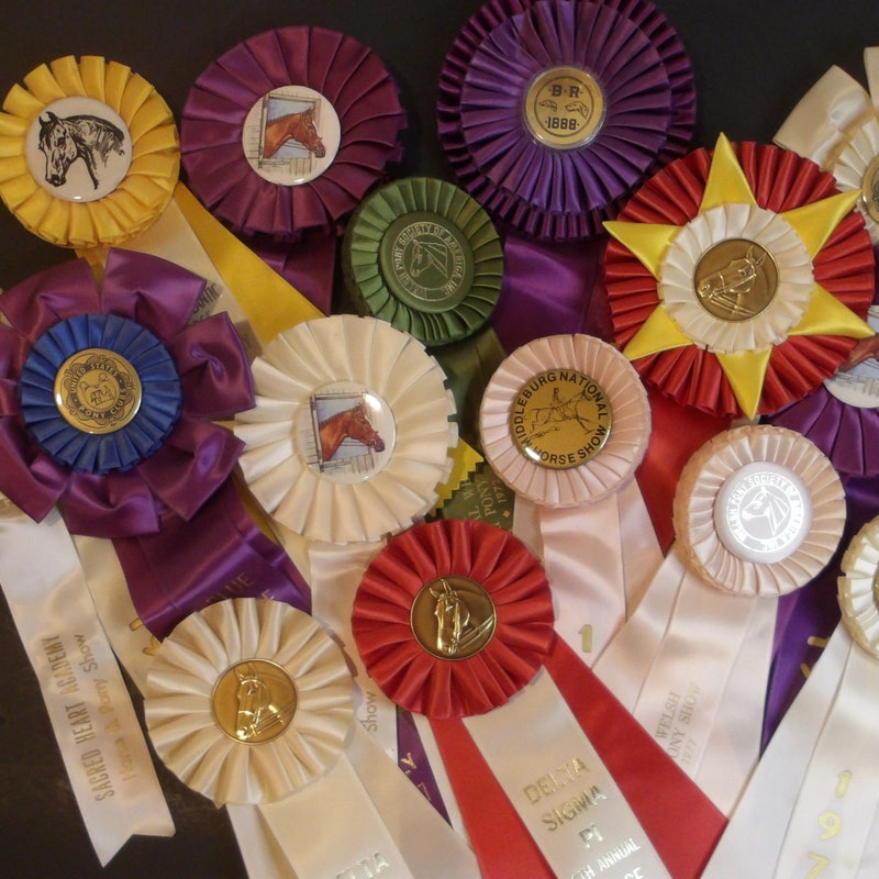 Horse Show Ribbons - Etsy