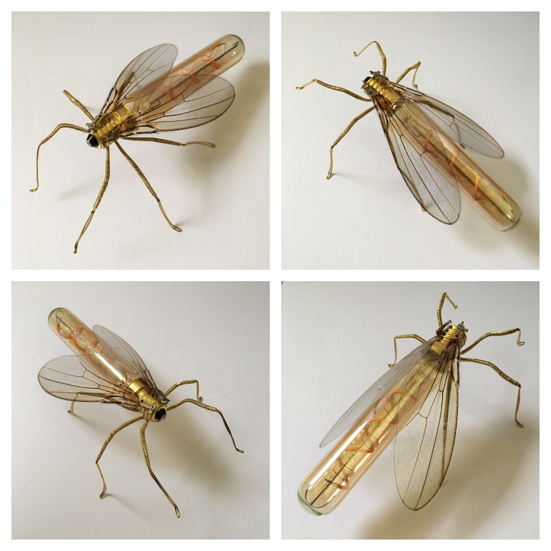 Awl Fly Sculpture Oddities and Curiosities Handmade Unusual OOAK ...