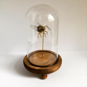 Save the Bees Steampunk Clockwork Furry Bee in Glass Dome - Original ...