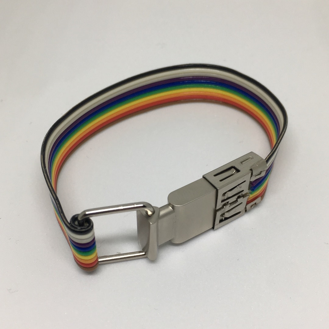 Cyberpunk 32GB/64GB USB Wristband or Choker - Wearable Tech for LGBTQ+ ...