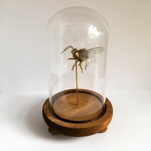 Save the Bees Steampunk Clockwork Furry Bee in Glass Dome - Original ...