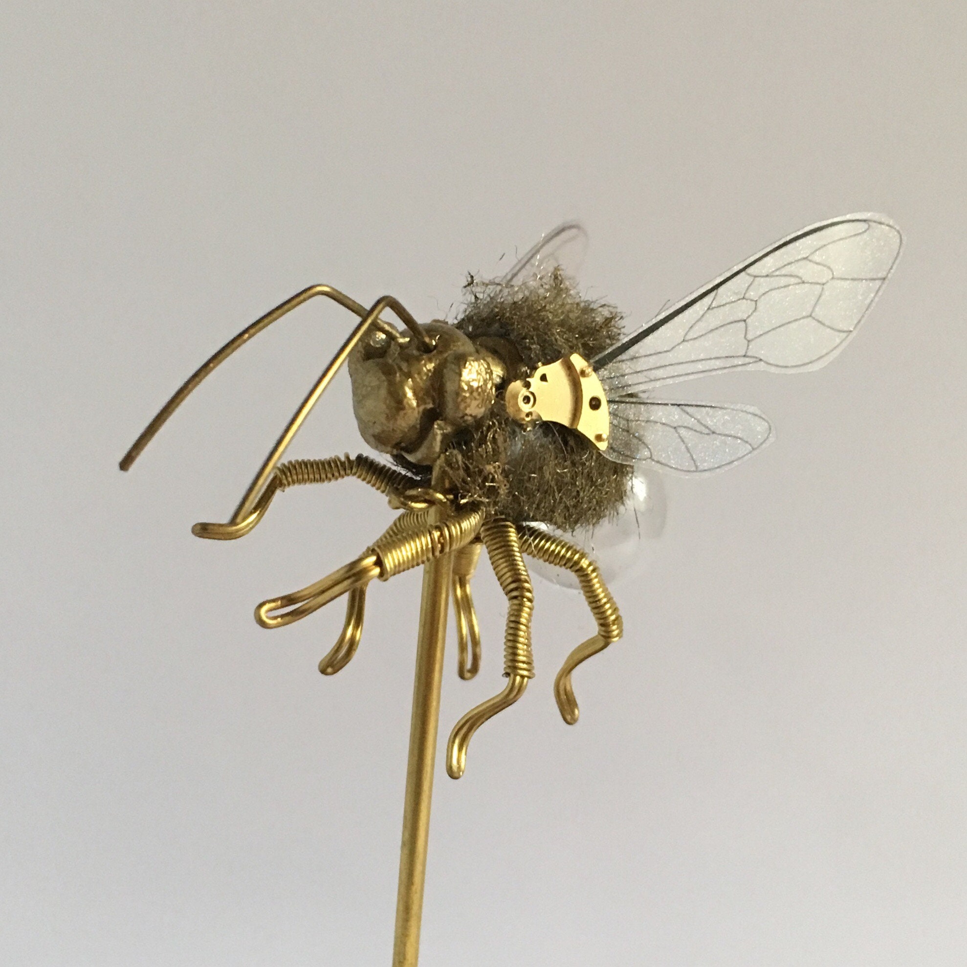 Save the Bees Steampunk Clockwork Furry Bee in Glass Dome | Etsy