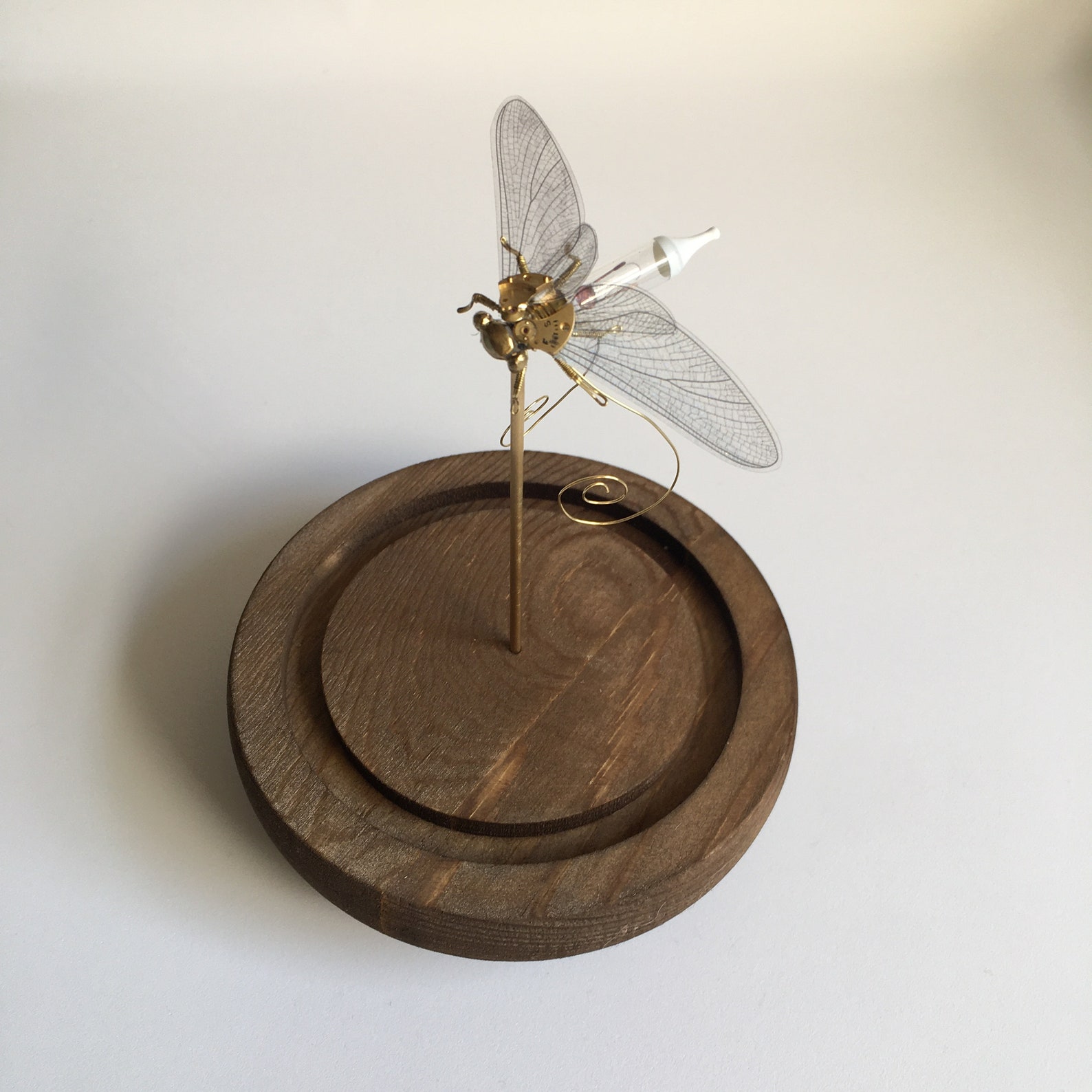 Mayfly Sculpture Steampunk Clockwork Insect in Glass Dome - Etsy