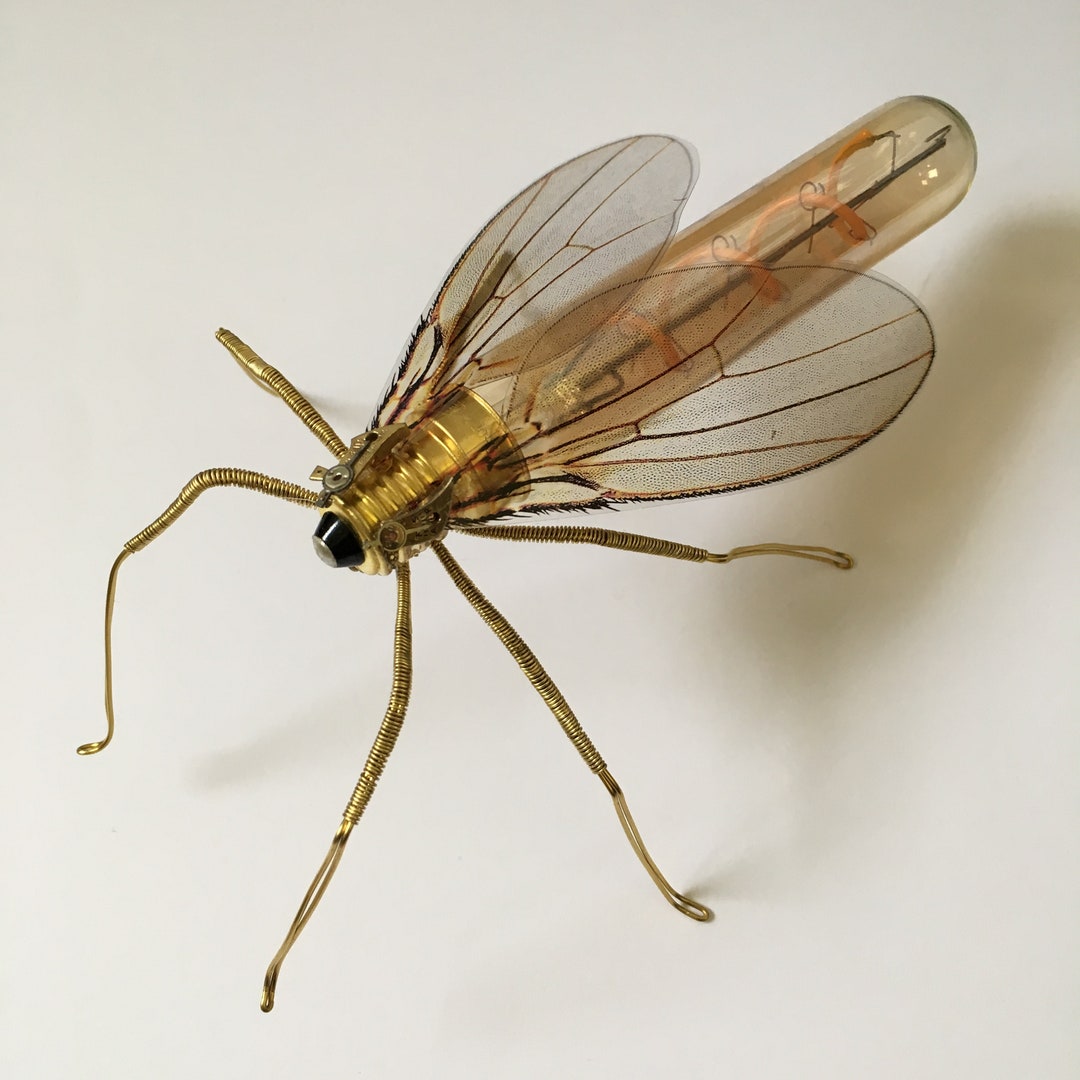 Awl Fly Sculpture - Oddities and Curiosities - Handmade Unusual OOAK ...