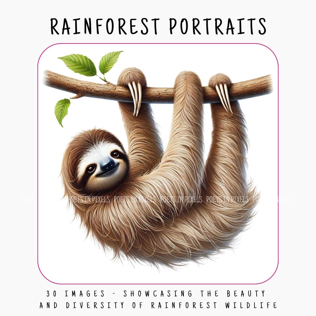 Rainforest Portraits: 30 Stunning Rainforest Animal Illustrations - Etsy