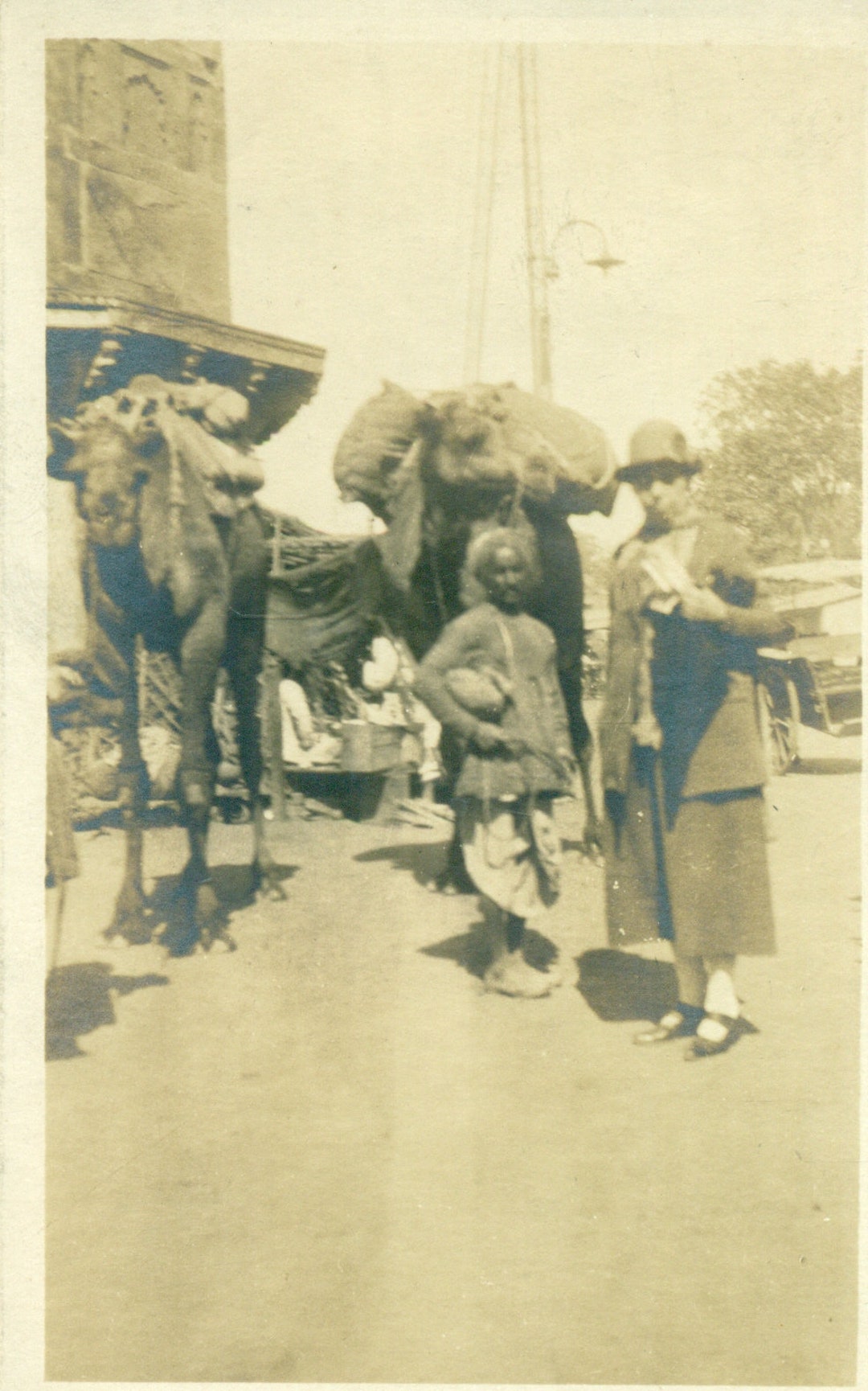 Camels With Packs Middle Eastern Man Proper European Woman on Vacation ...