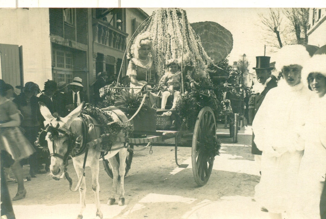 French Parade Float Donkey Cart Woman Girl Going Down Street France ...