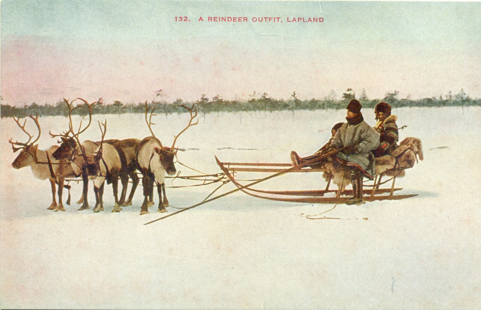 Reindeer Outfit Lapland Sled Pulling Team Antique Color Postcard ...