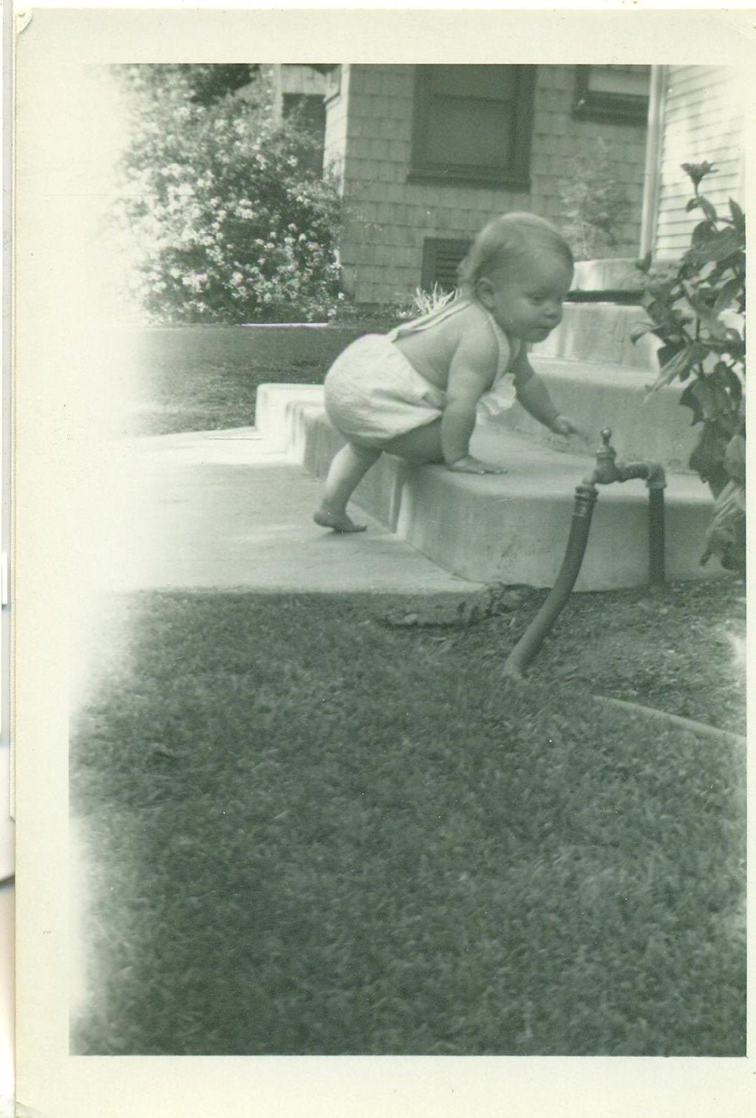 Baby Climbing Cement Porch Steps Jody Summer 1950s Photo Black White ...