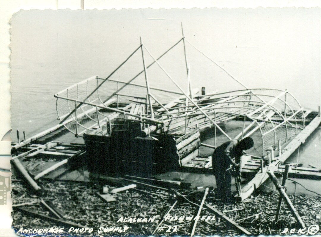 Alaskan Salmon Fish Wheel in River Traps Swimming Upstream Vintage ...