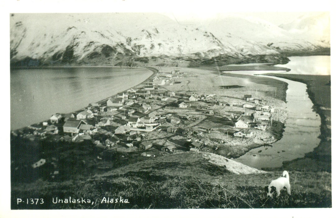 1940 Unalaska Alaska RPPC Real Photo Postcard Aerial View Aleutian ...
