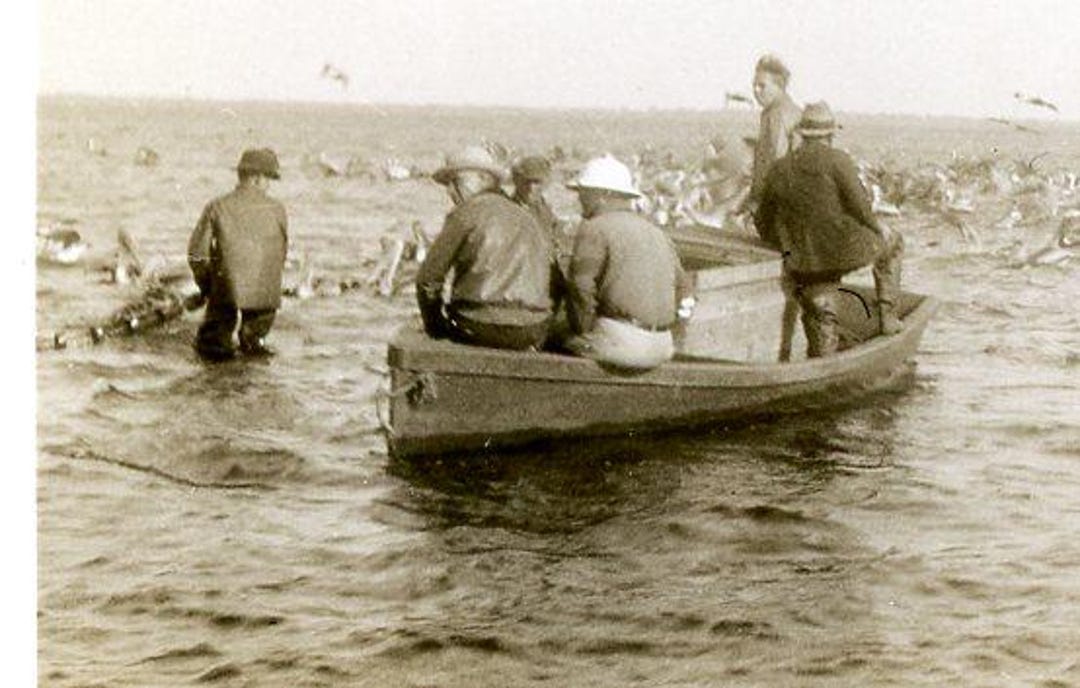 Vintage Alaska Salmon Set Net Fishing Men on Boats in Water Pulling ...