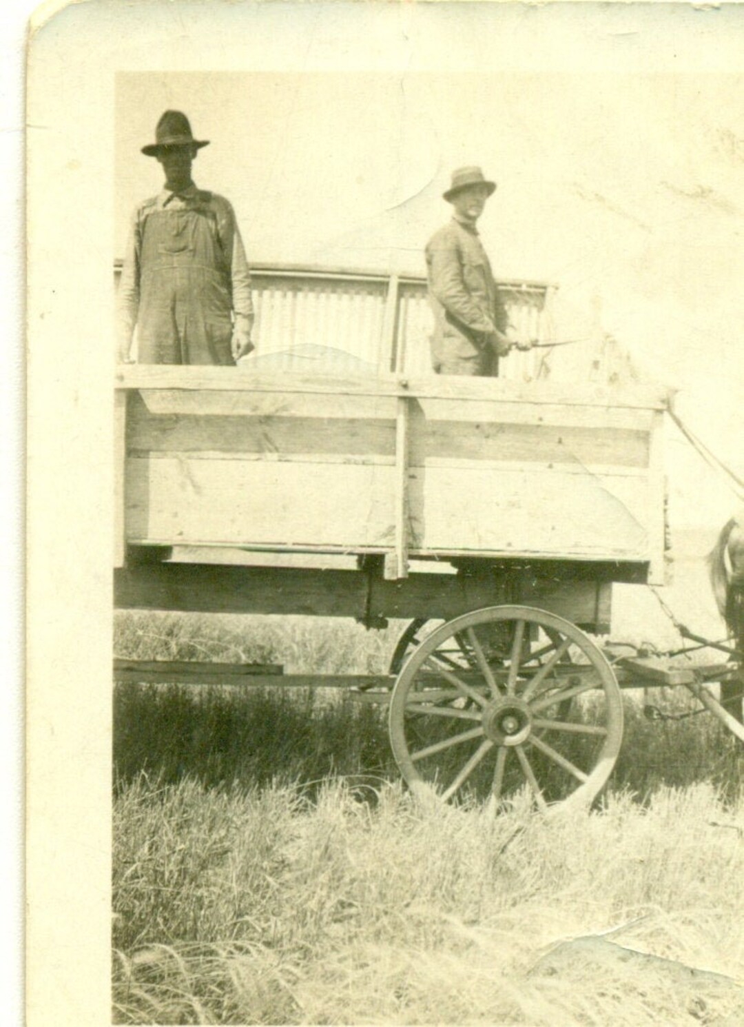Ohio Farmers Men Standing in Horse Wagon Overalls Hats Field Antique ...