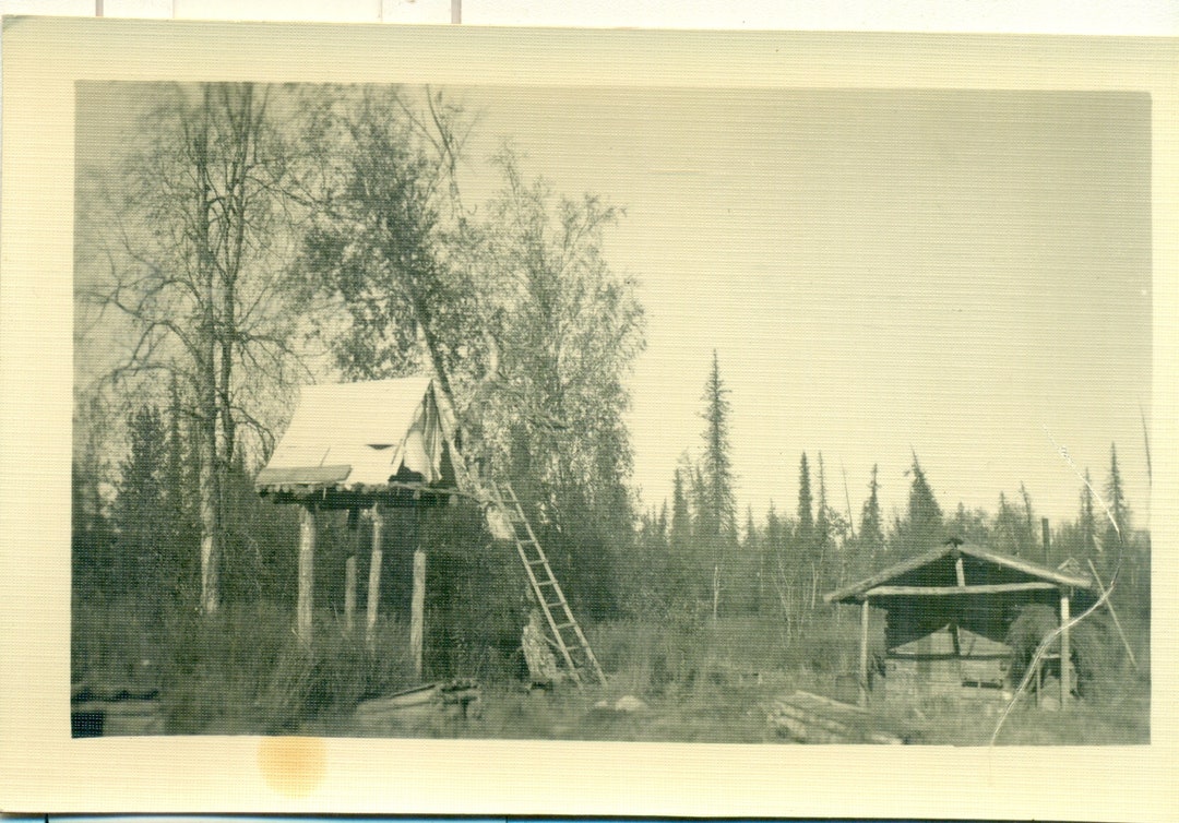 Alaska Trapper's Cabin With Canvas Tent Cache Ladder Rest Stop for Trap ...