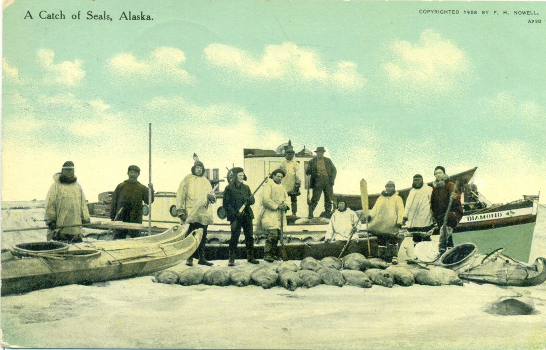 1909 A Catch of Seals Alaska Native Eskimo Skin Kayaks White Men ...