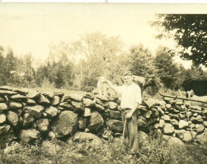 1931 John Sutton Petting Winnie the Dog on Rock Fence Wall Photo Black ...