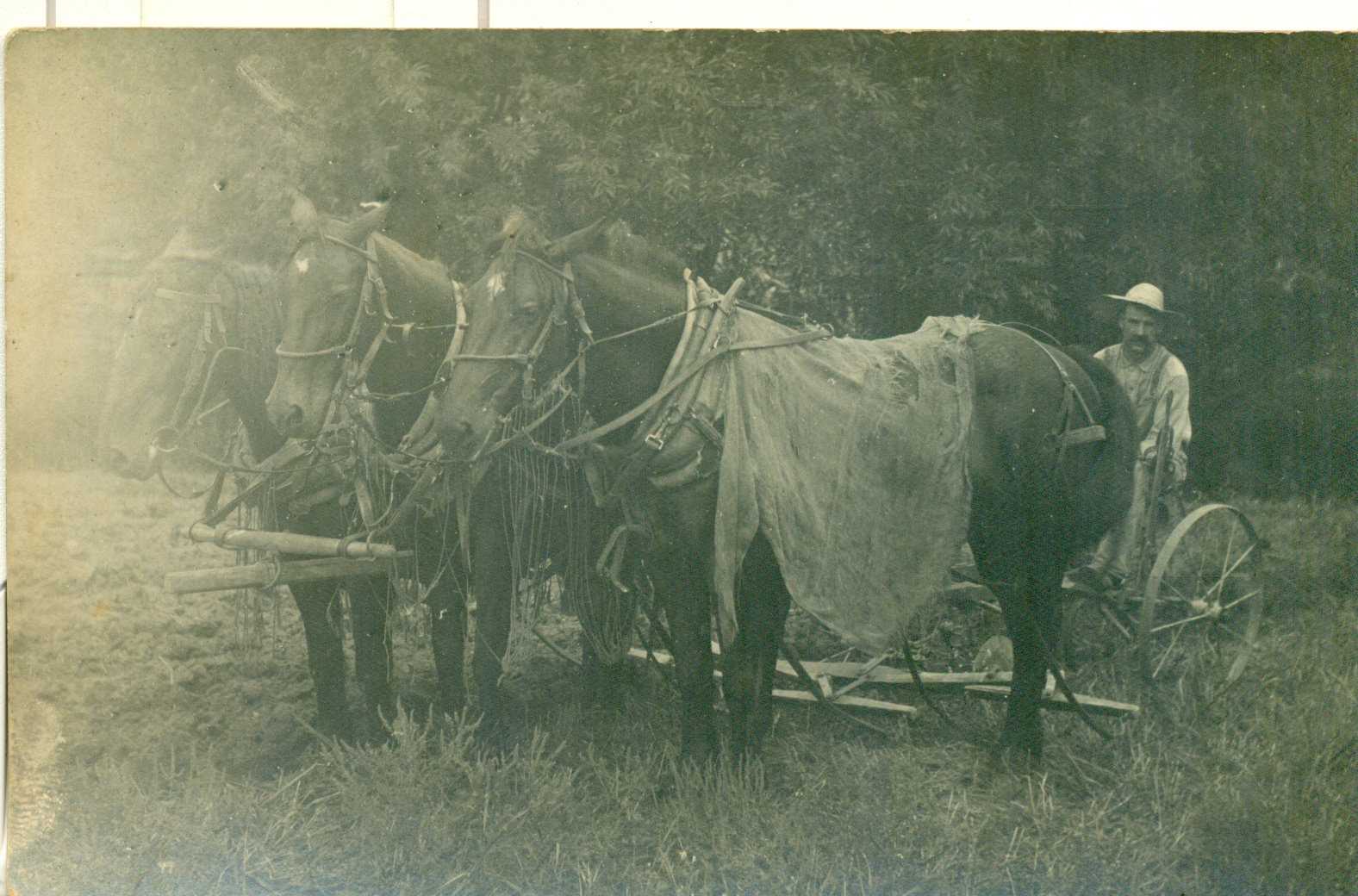 Farmer Disc Plow Work Horses Shabby Blanket Overalls Antique RPPC Real ...