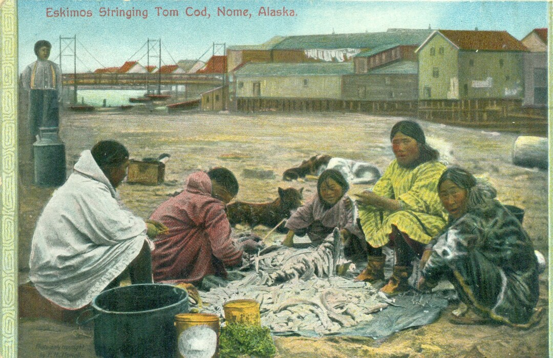 Nome Alaska Eskimo Women Stringing Tom Cod Fish to Dry Kuspuk ...
