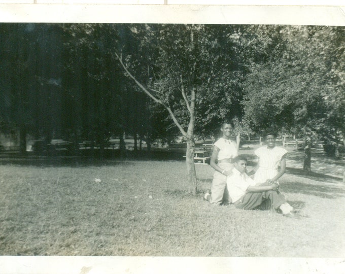 1950s African American Black Teens Boy Girls Sitting In Park Under Tree