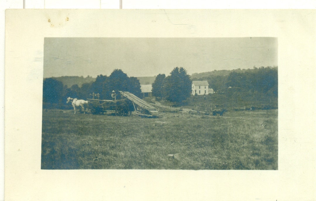 Horse Drawn Hay Baler Wagon Farmer Baling Hay in Field 1900s RPPC Real ...