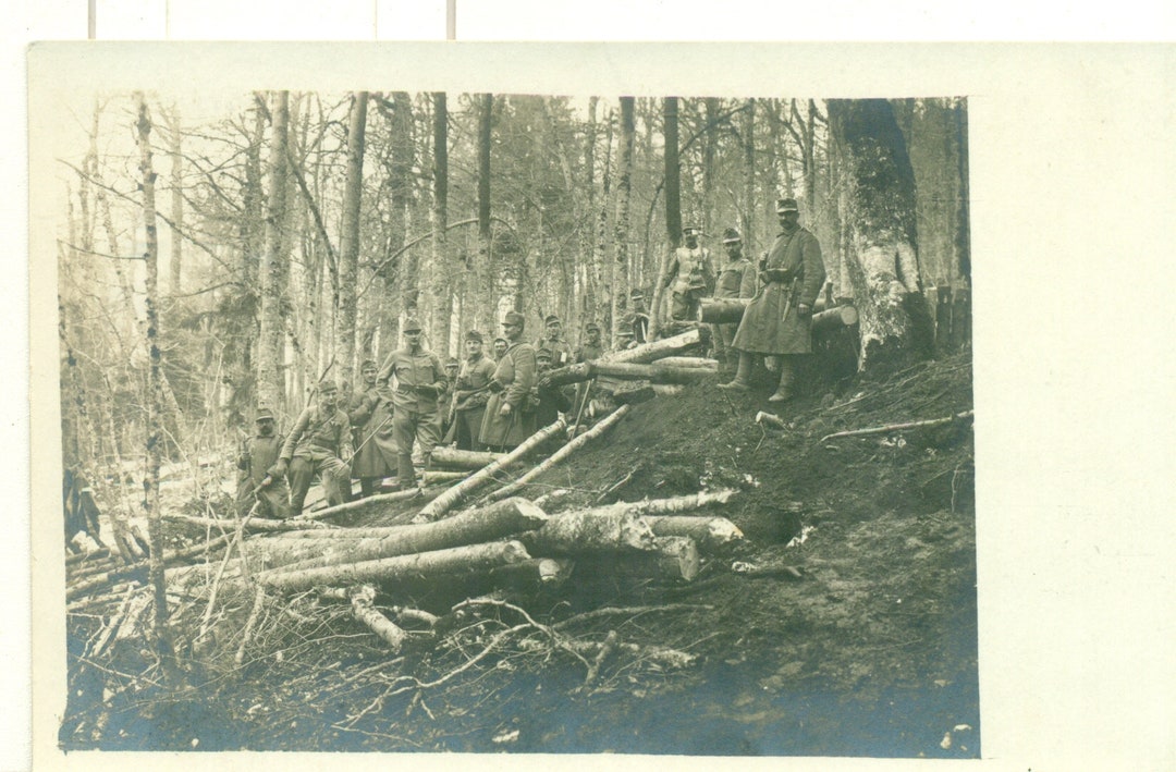 WW1 Soldiers Standing in Forest Log Trees Battlefield World War 1 ...