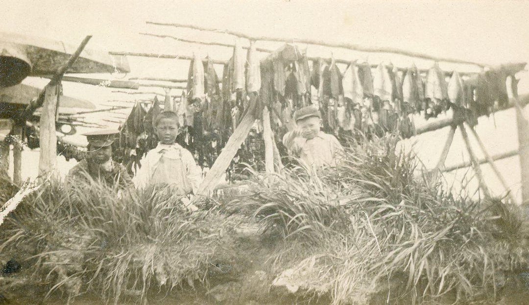 Antique Alaska Native Eskimo Boys Standing Under Salmon Fish Drying ...