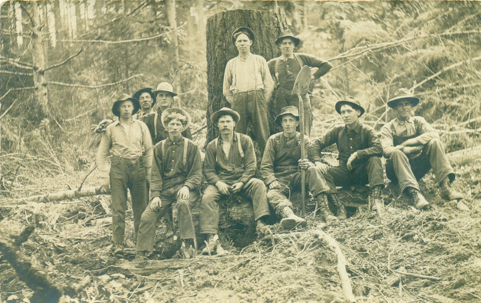 Trail Breakers Outdoor Forest Working Men Holding Shovel Tree Stump ...