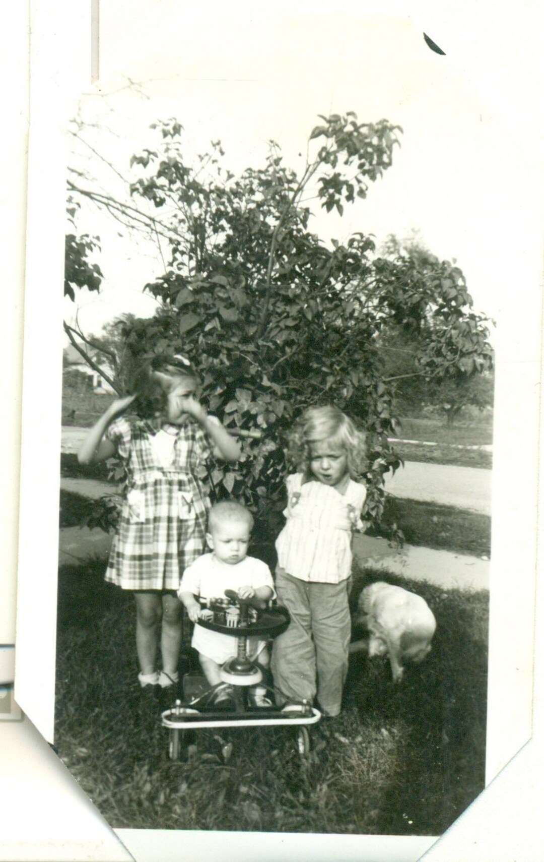 Summer Kids Girl Hand Motions to Song Baby Dog in Back 1940s Vintage ...