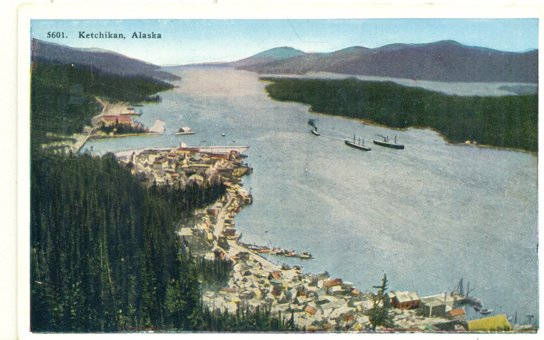 Ketchikan Alaska Birdseye View Antique Color Postcard Unmailed - Etsy