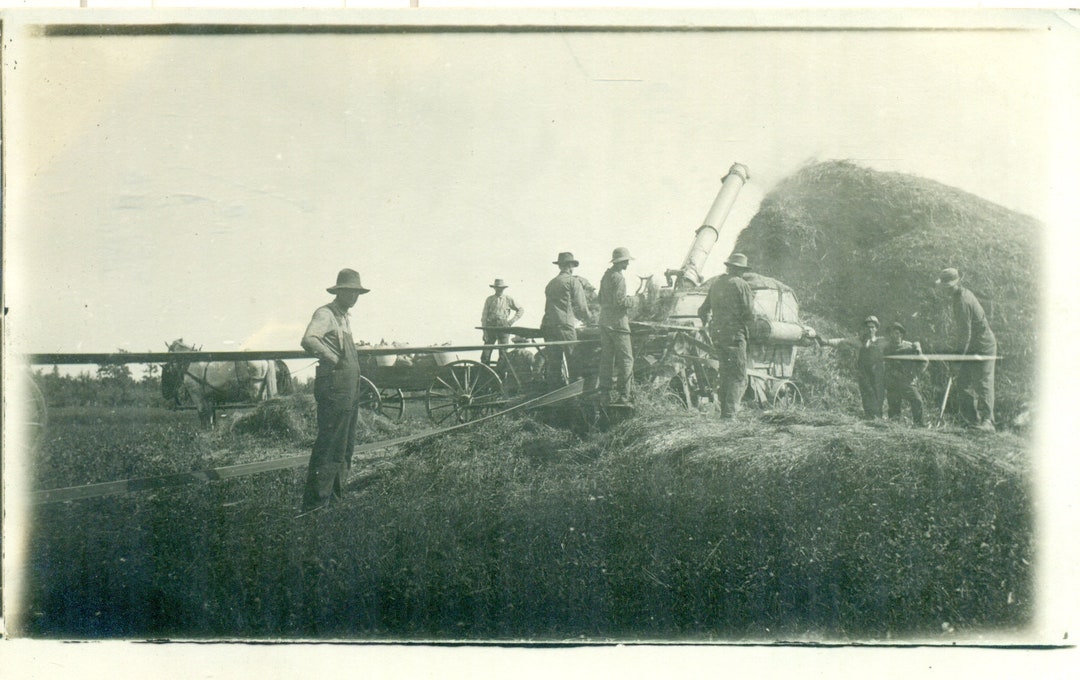 Farmers Stacking Hay Straw Blower Horse Wagon Farm Machine Antique RPPC ...