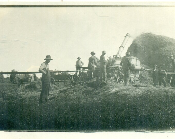 Farmers Stacking Hay Straw Blower Horse Wagon Farm Machine Antique RPPC ...