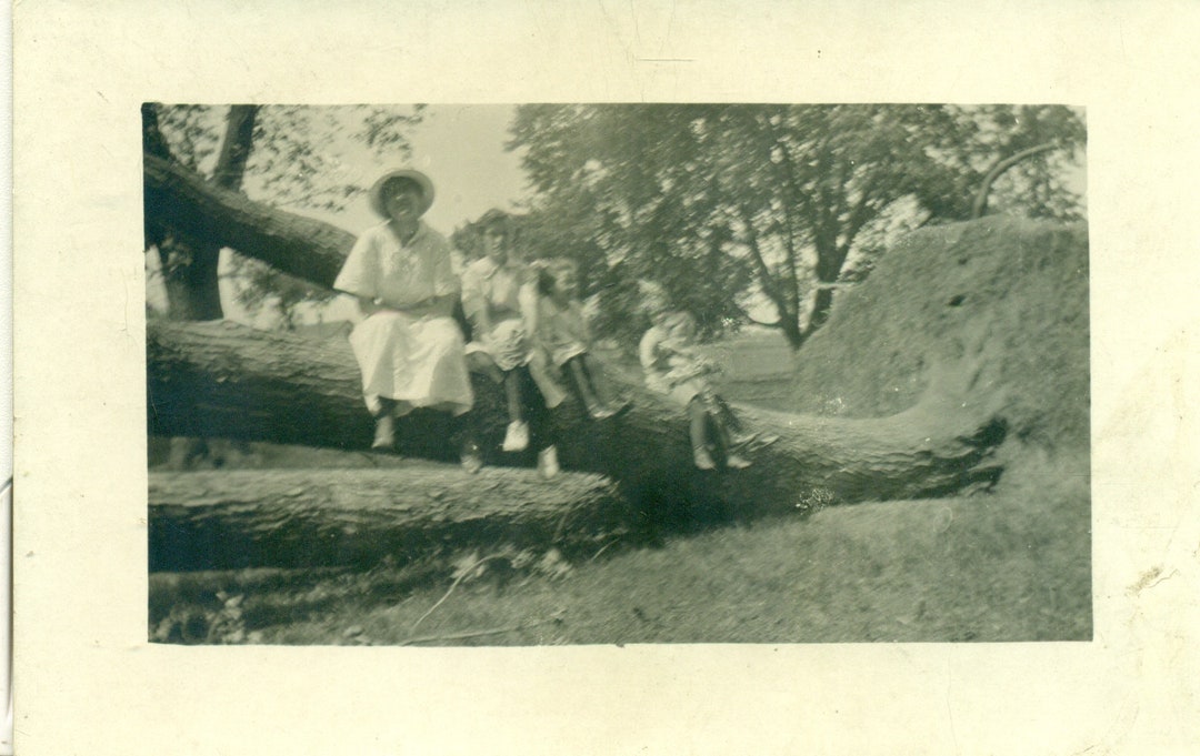 Family Sitting on a Log Kids Playing Outside Hug Little One Tree ...