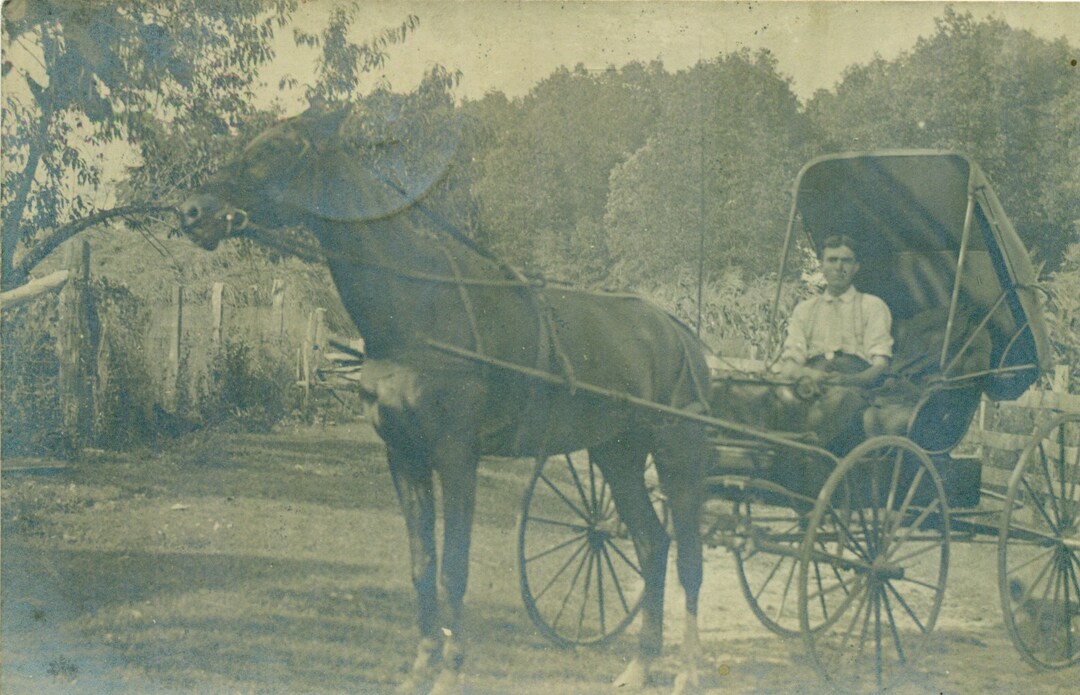 1908 South Whitley IN Man Horse Buggy Antique RPPC Real Photo Postcard ...