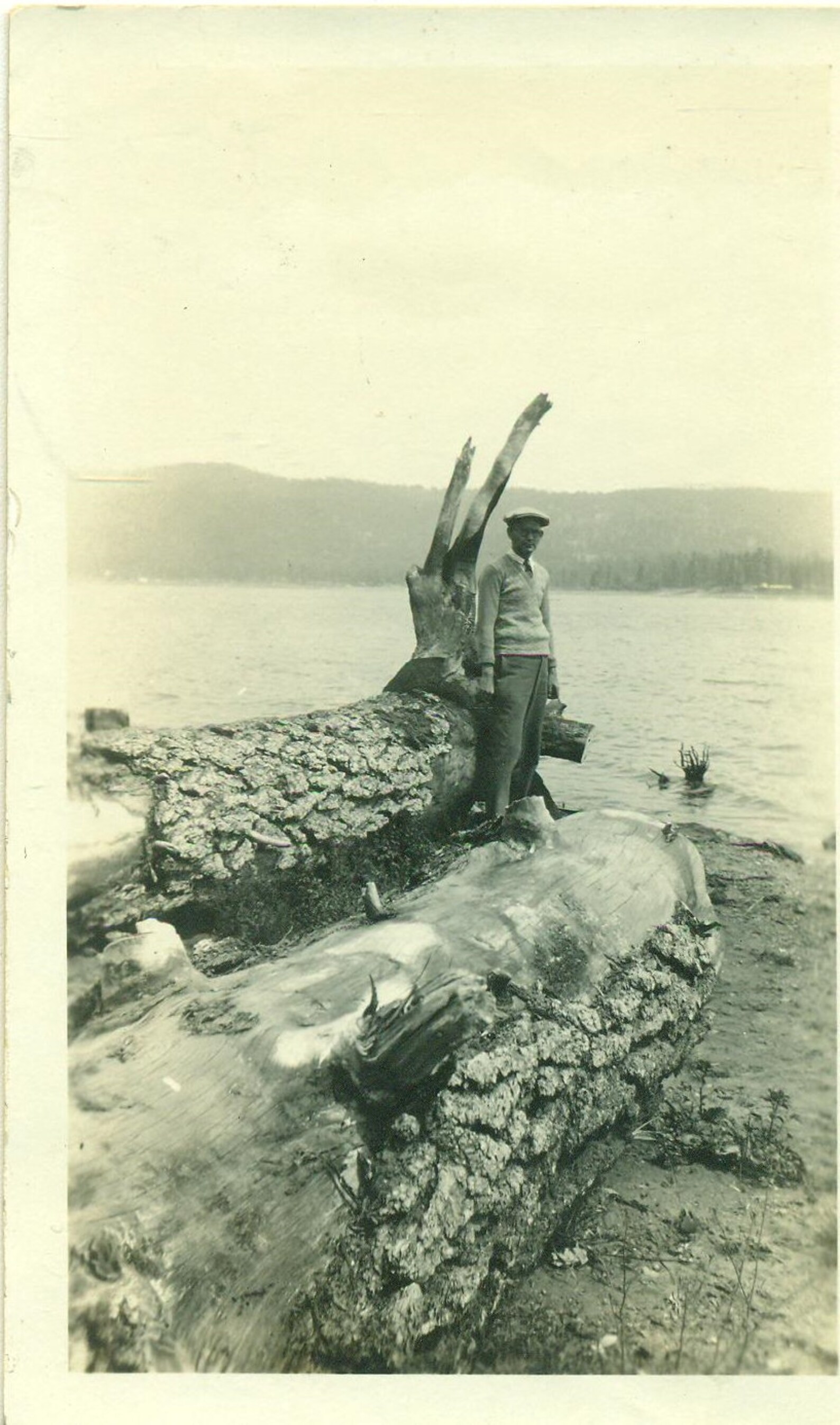 1930s Man Standing on a Giant Log Leather Case Lake Beach 30s | Etsy